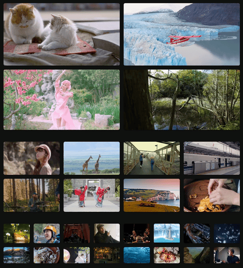 Guangcong Zheng （郑光聪）